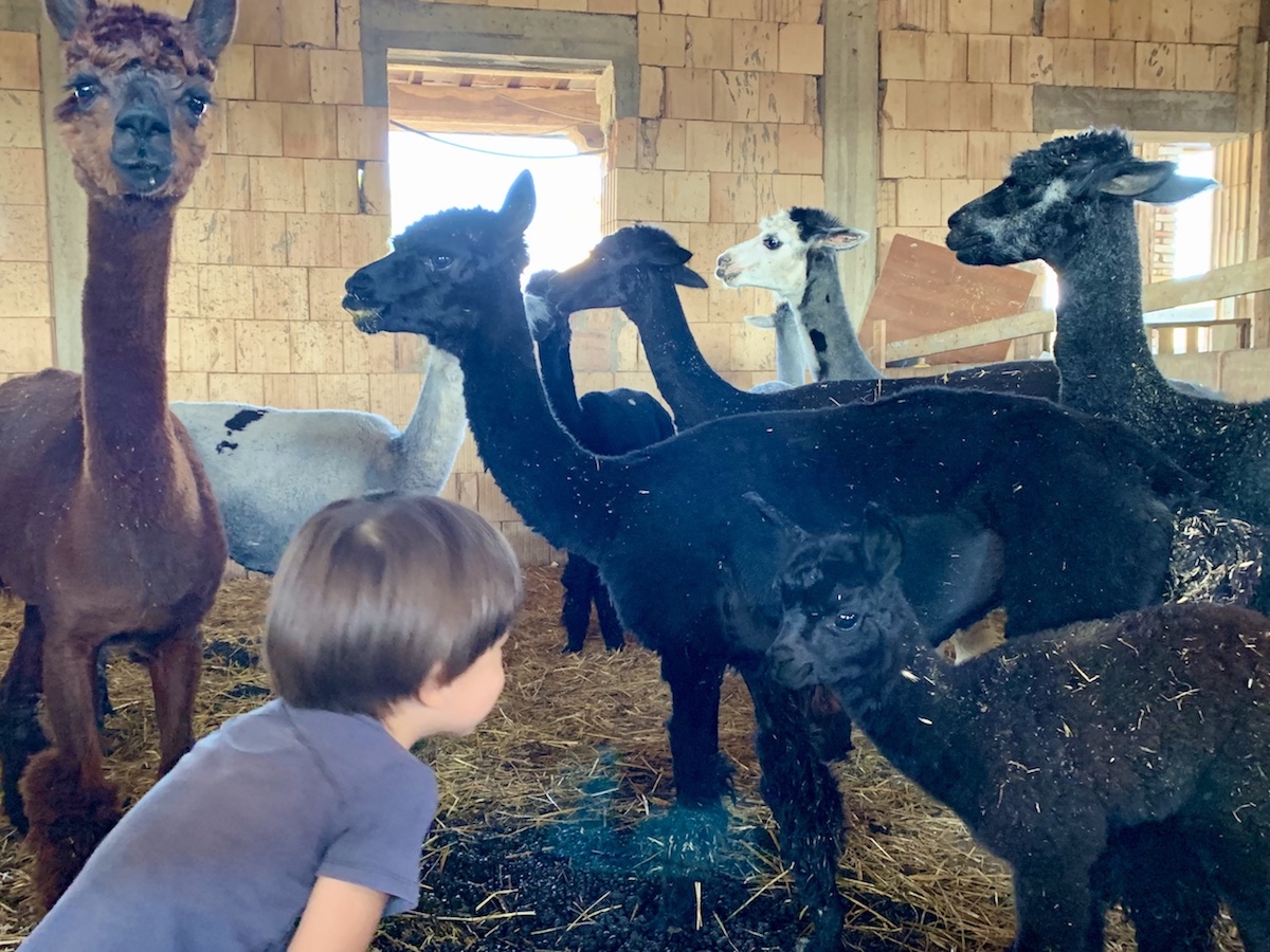 イタリア、トスカーナで体験。暮らすように滞在するアグリツーリズム【現地レポート】 | rootus（ルータス）