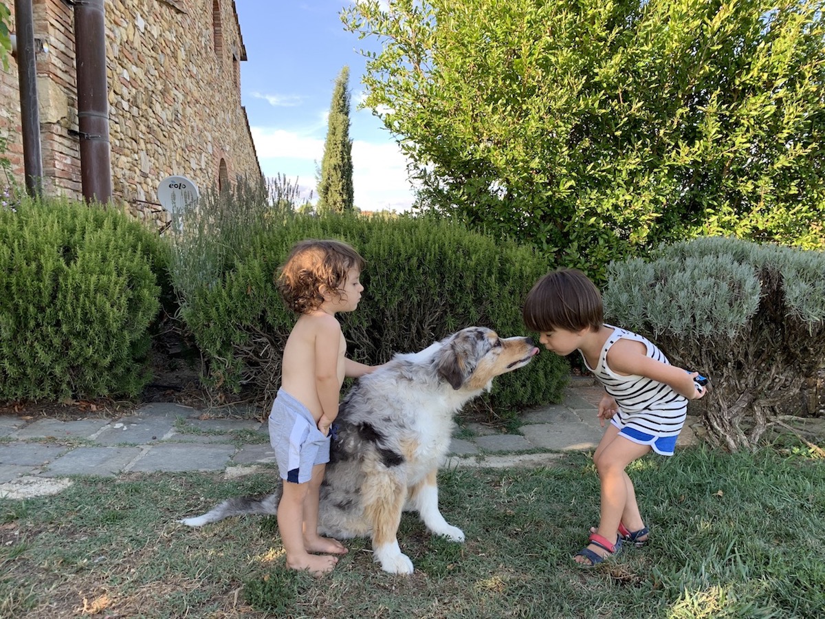 イタリア、トスカーナで体験。暮らすように滞在するアグリツーリズム【現地レポート】 | rootus（ルータス）