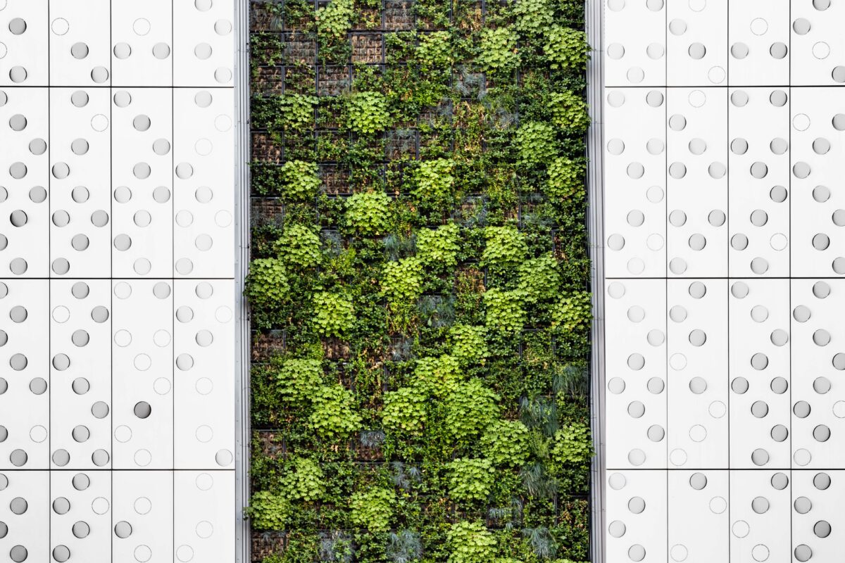 各国で増えるサステナブル建築。環境にやさしい建物を紹介 | rootus（ルータス）