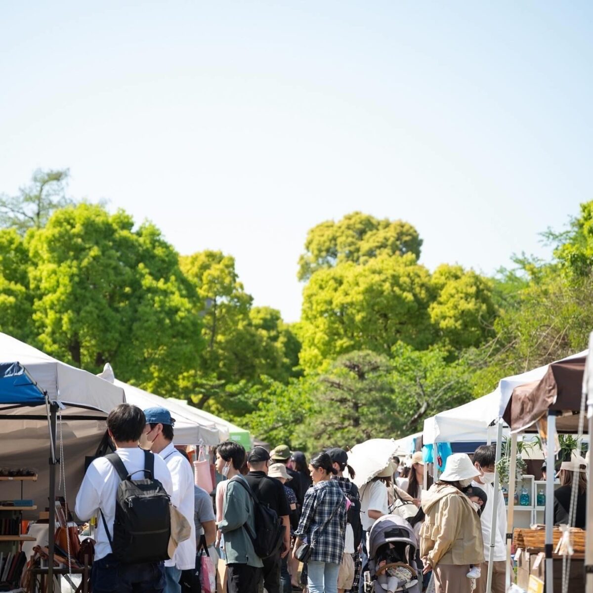 【2024年11月】 週末行きたい！ 気になるイベントin関西 | rootus（ルータス）